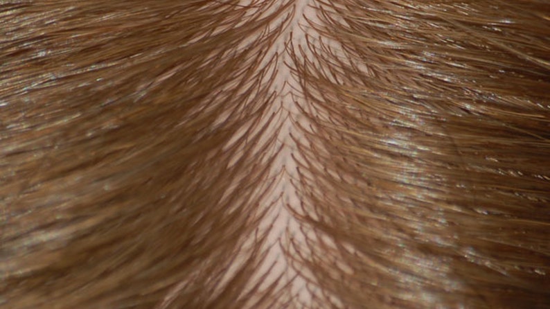 Thin Skin Base Cap for Wig Making | 0.06mm | Flesh Color | Great for ...