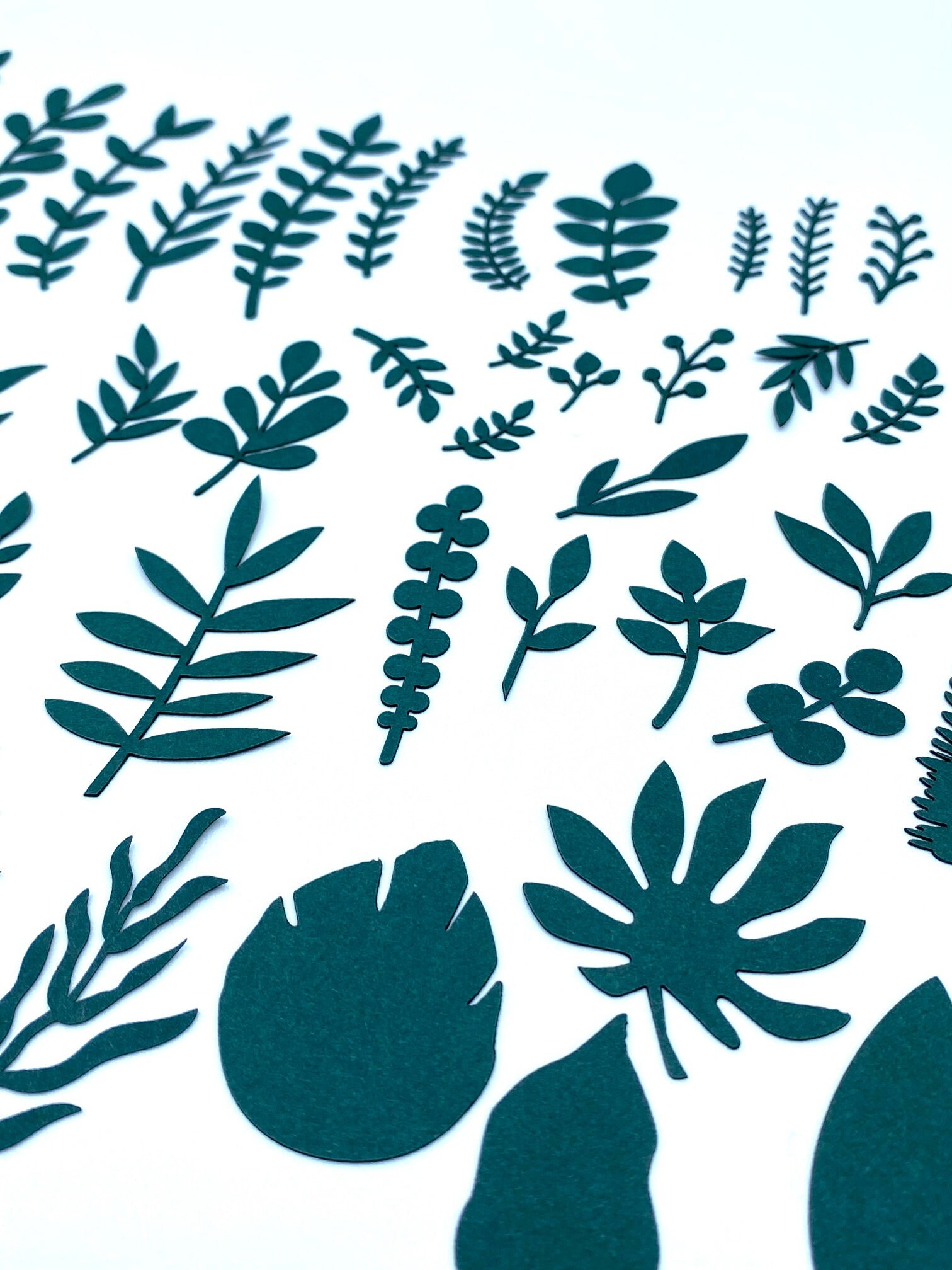 60 Leaves Bundle. High Quality Cut Files. Paper Leaves Svg. Vegetation ...