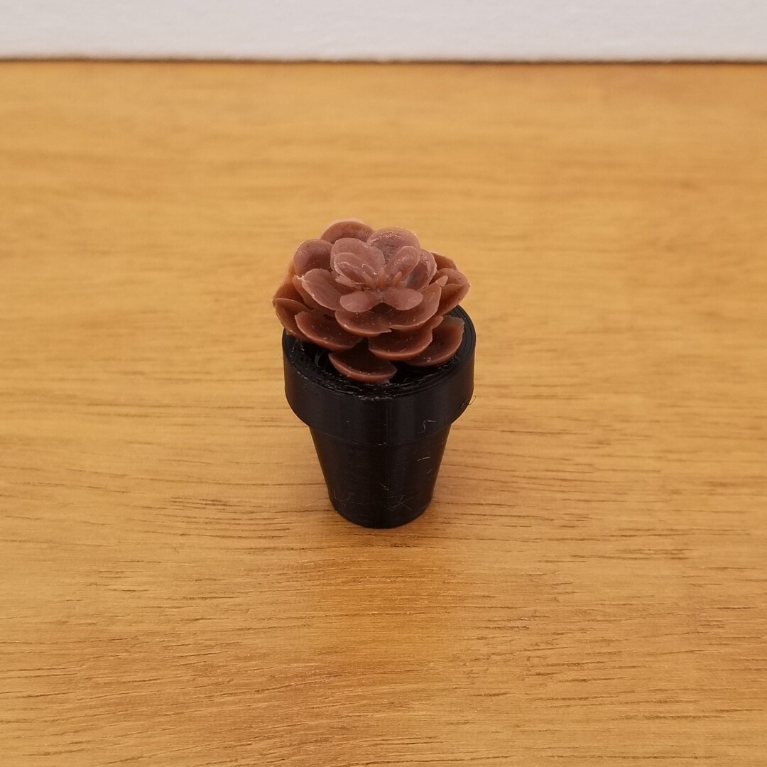 1:24 Scale Agave Plant in Black Planter - Modern Dollhouse Miniature - Etsy