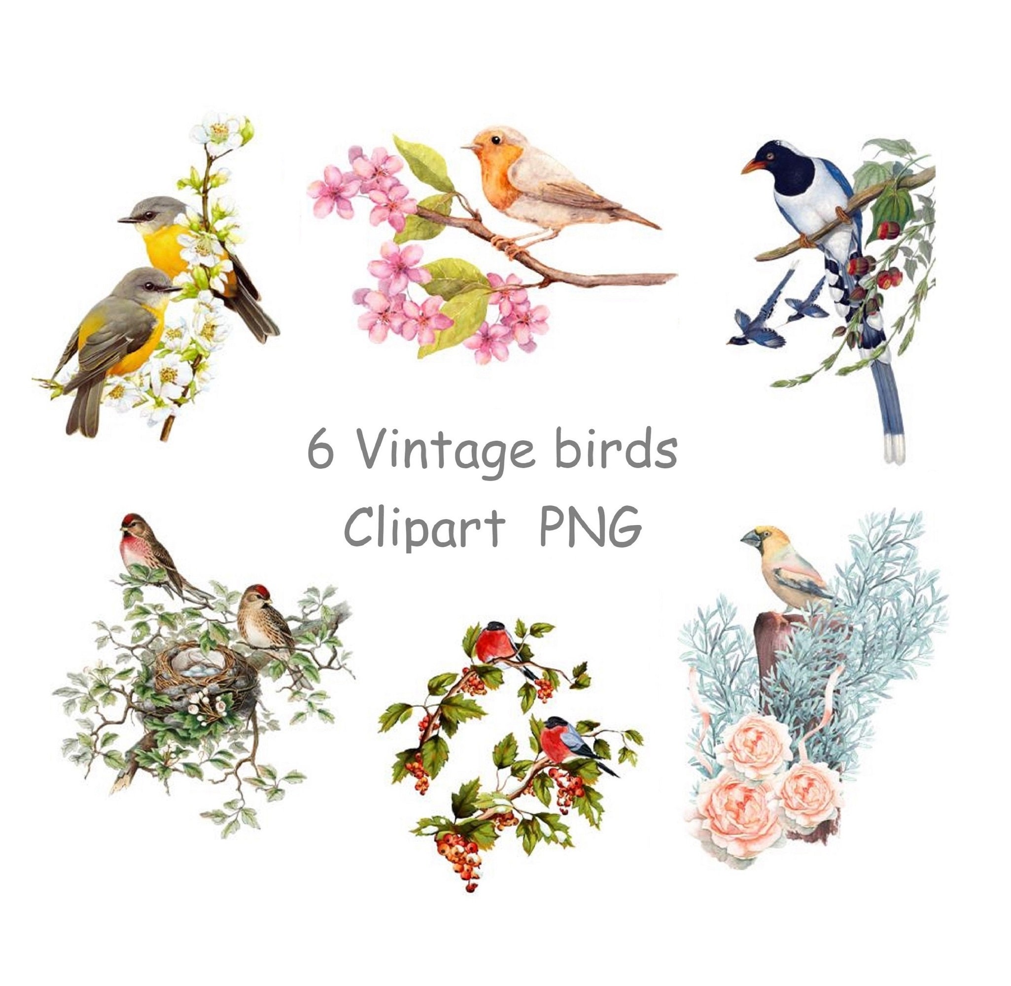 Vintage Bird Clipart