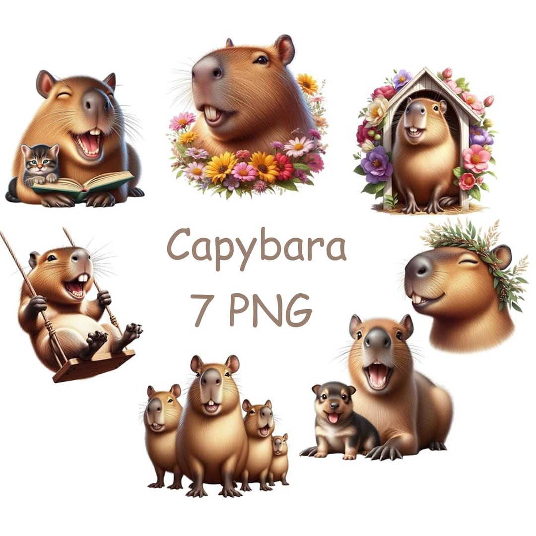 Capybara PNG, Cute Animal Clipart With Transparent Background, Capybara ...