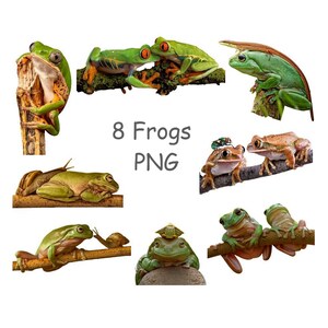 Frog Clipart Cute Frogs Clip Art With Transparent Background Digital ...