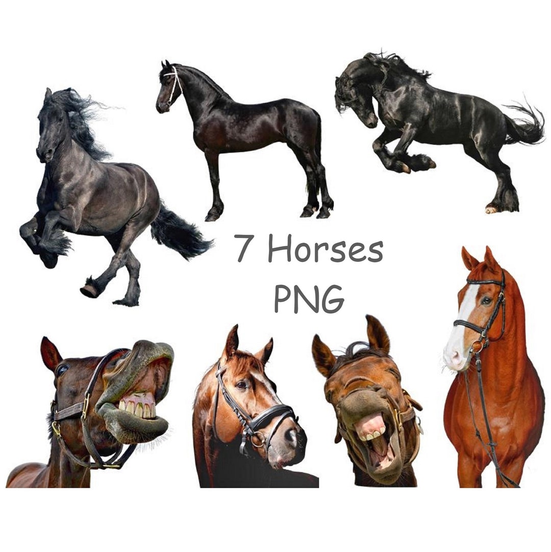 Horse PNG Horse Clipart Farm Animals Clipart With Transparent ...