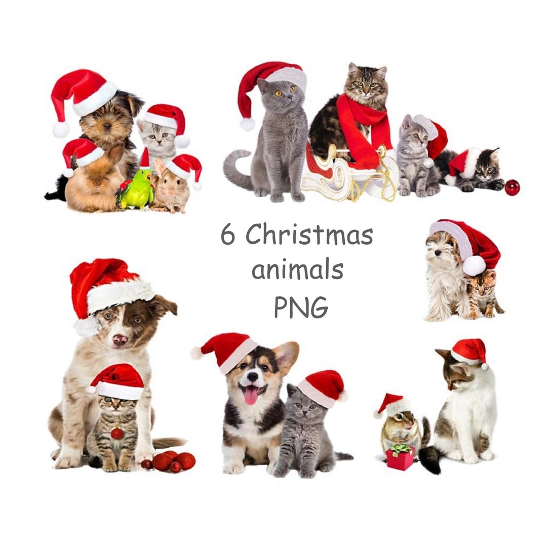 Christmas Cats PNG, Cat Clipart, Christmas Dog Clip Art, Cute Animal ...
