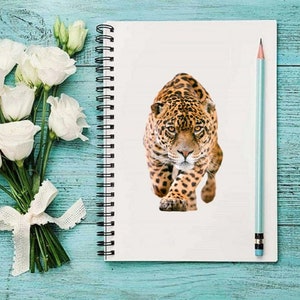 Leopard Clipart PNG Wild Animal Clipart With Transparent Background ...