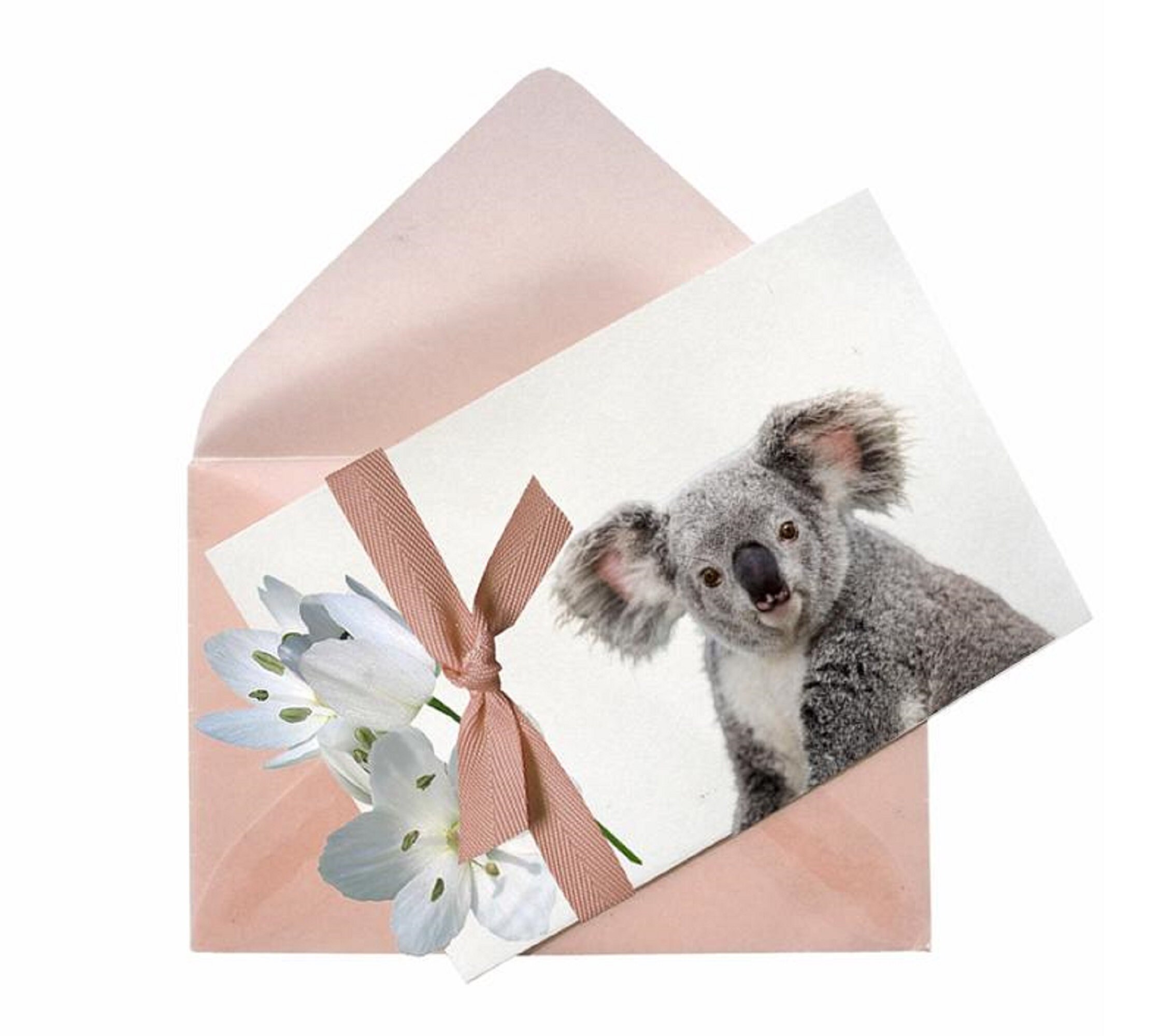 Koala Clipart PNG Australian Animals Clip Art Cute Animals - Etsy UK