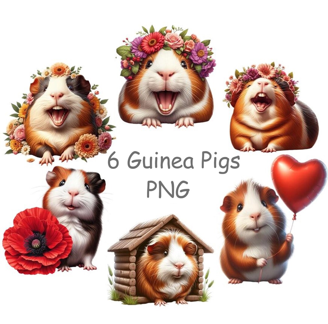 Guinea Pigs Clipart Guinea Pigs PNG Funny Guinea Pigs Bundle Cute ...