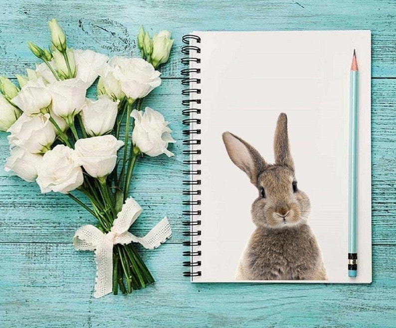 Realistic Bunny Clip Art With Transparent Background for Sublimation - Etsy