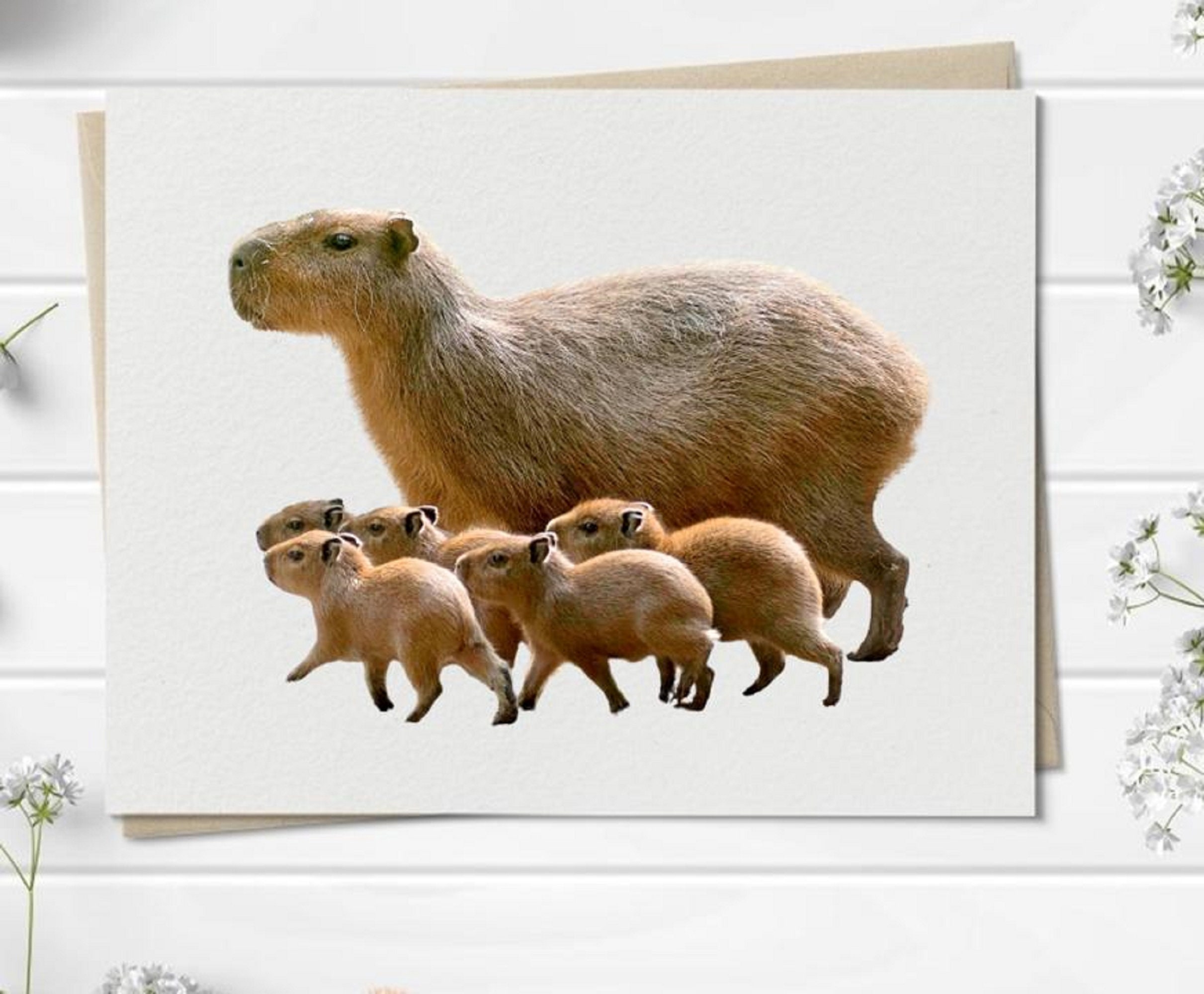 Capybara PNG Cute Animal Clipart With Transparent Background - Etsy Canada