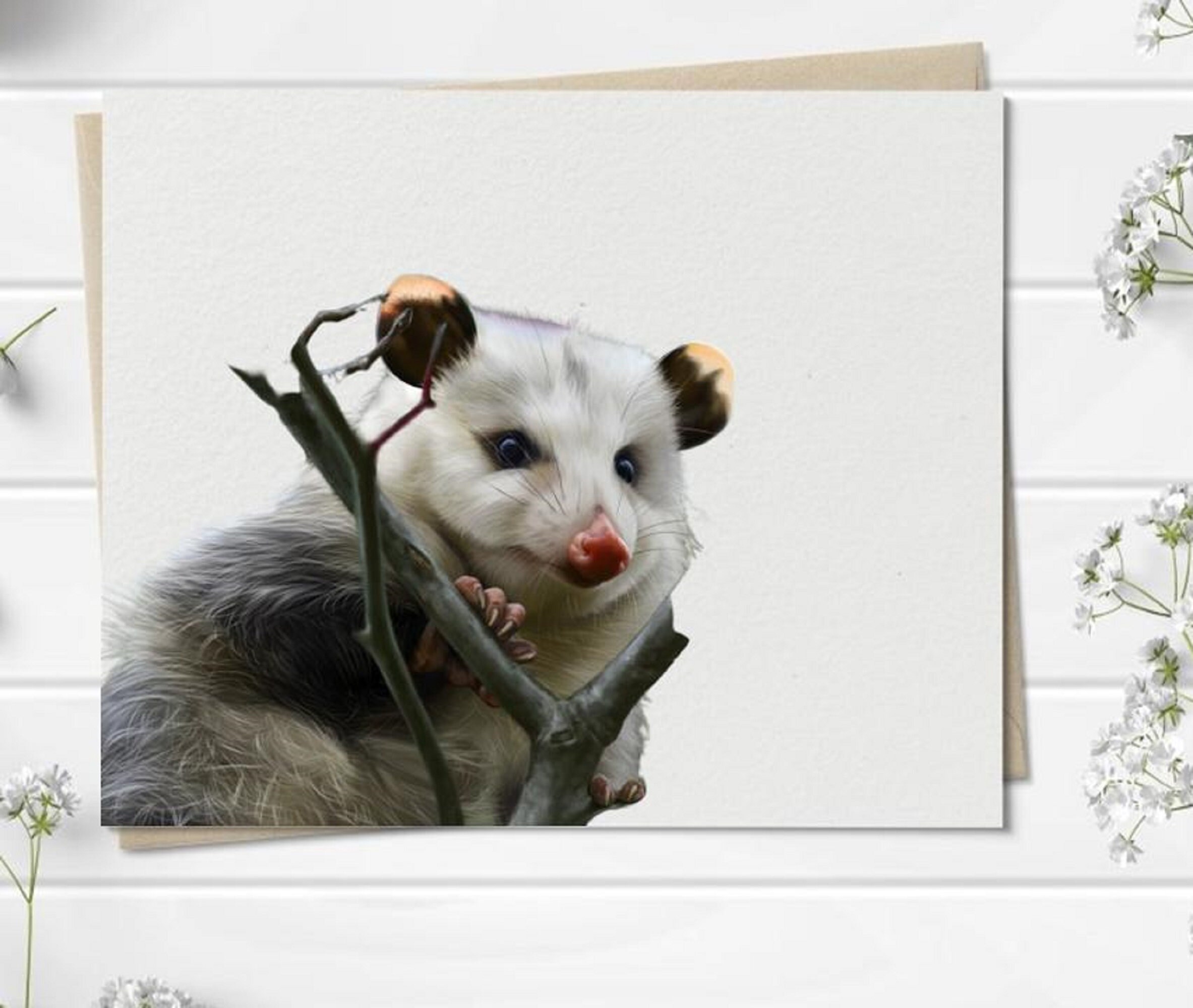 Possum PNG, Opposum Clipart, Woodland Animals Clipart With Transparent ...