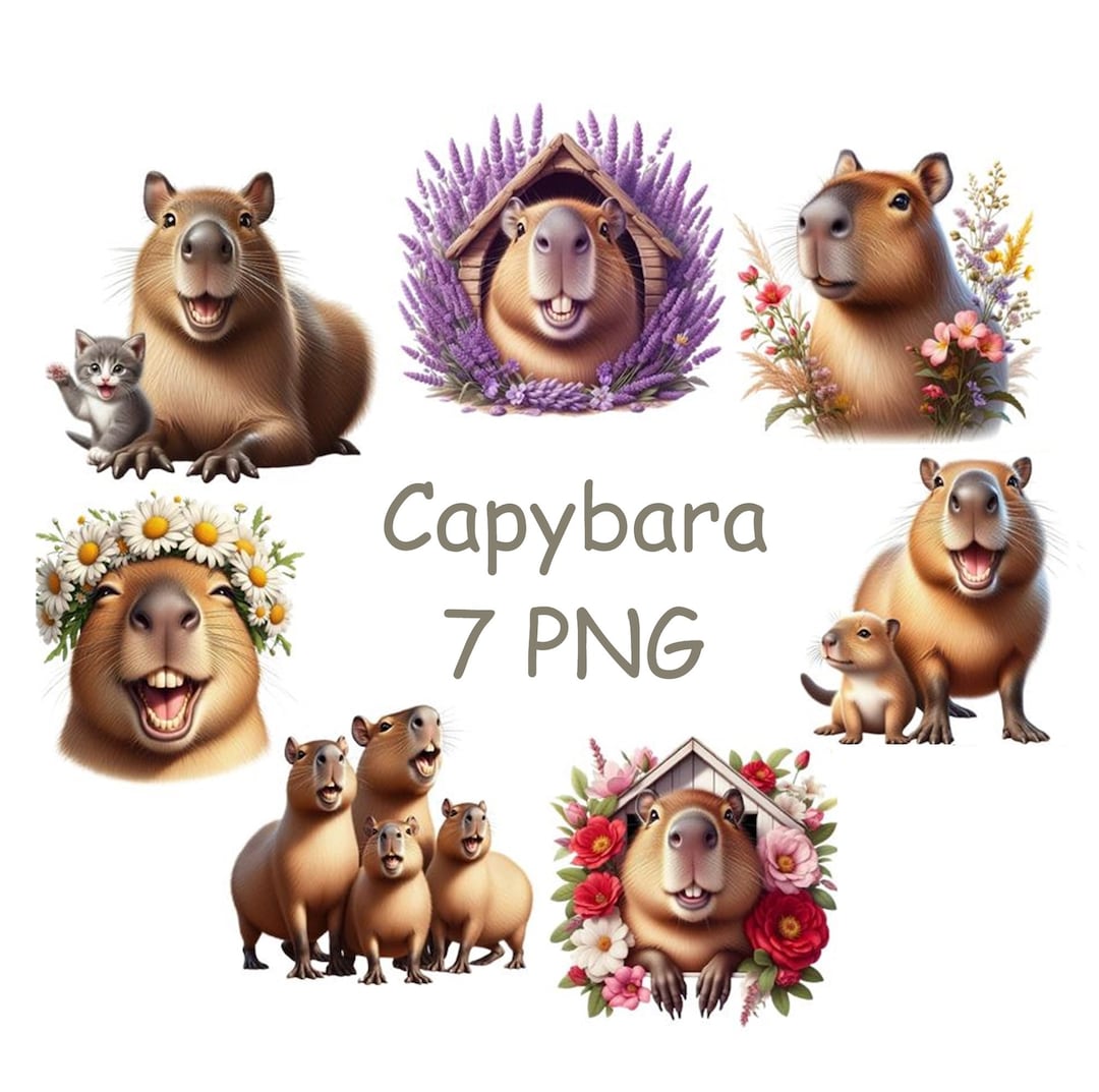 Capybara PNG, Cute Animal Clipart With Transparent Background, Capybara ...