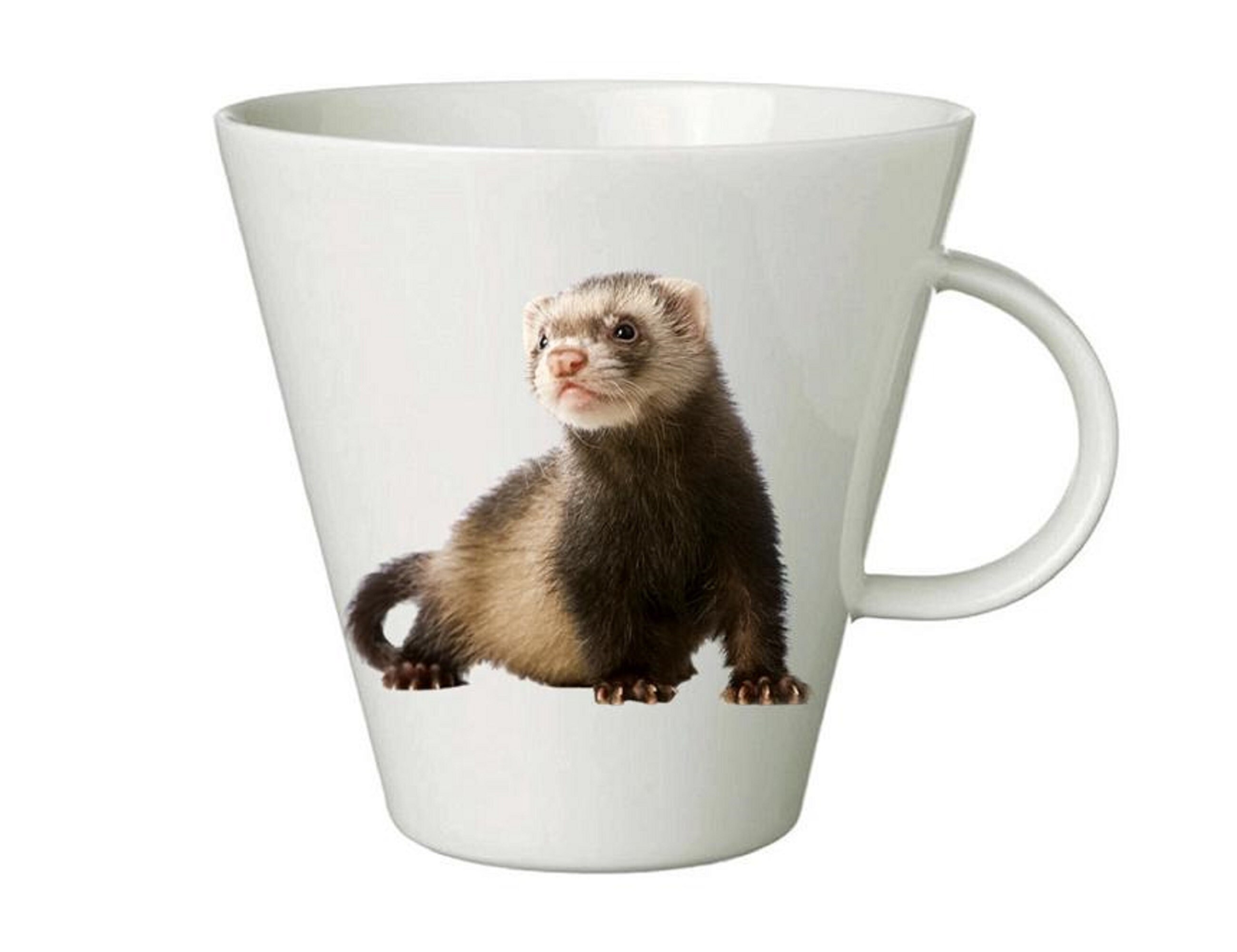 Realistic Ferret PNG Digital Ferrets With Transparent | Etsy