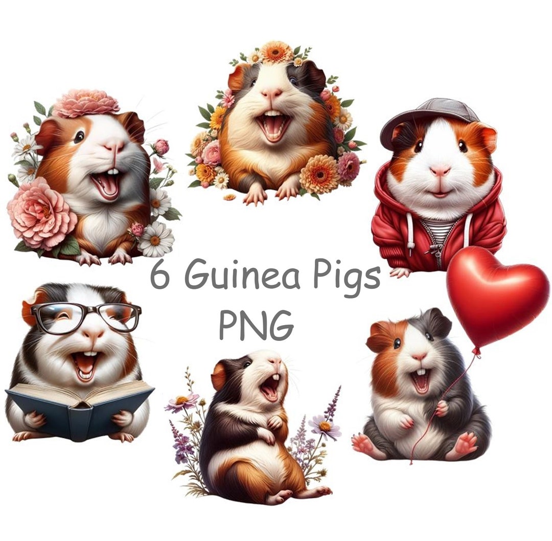 Guinea Pigs Clipart, Guinea Pigs PNG With Transparent Background, Funny ...