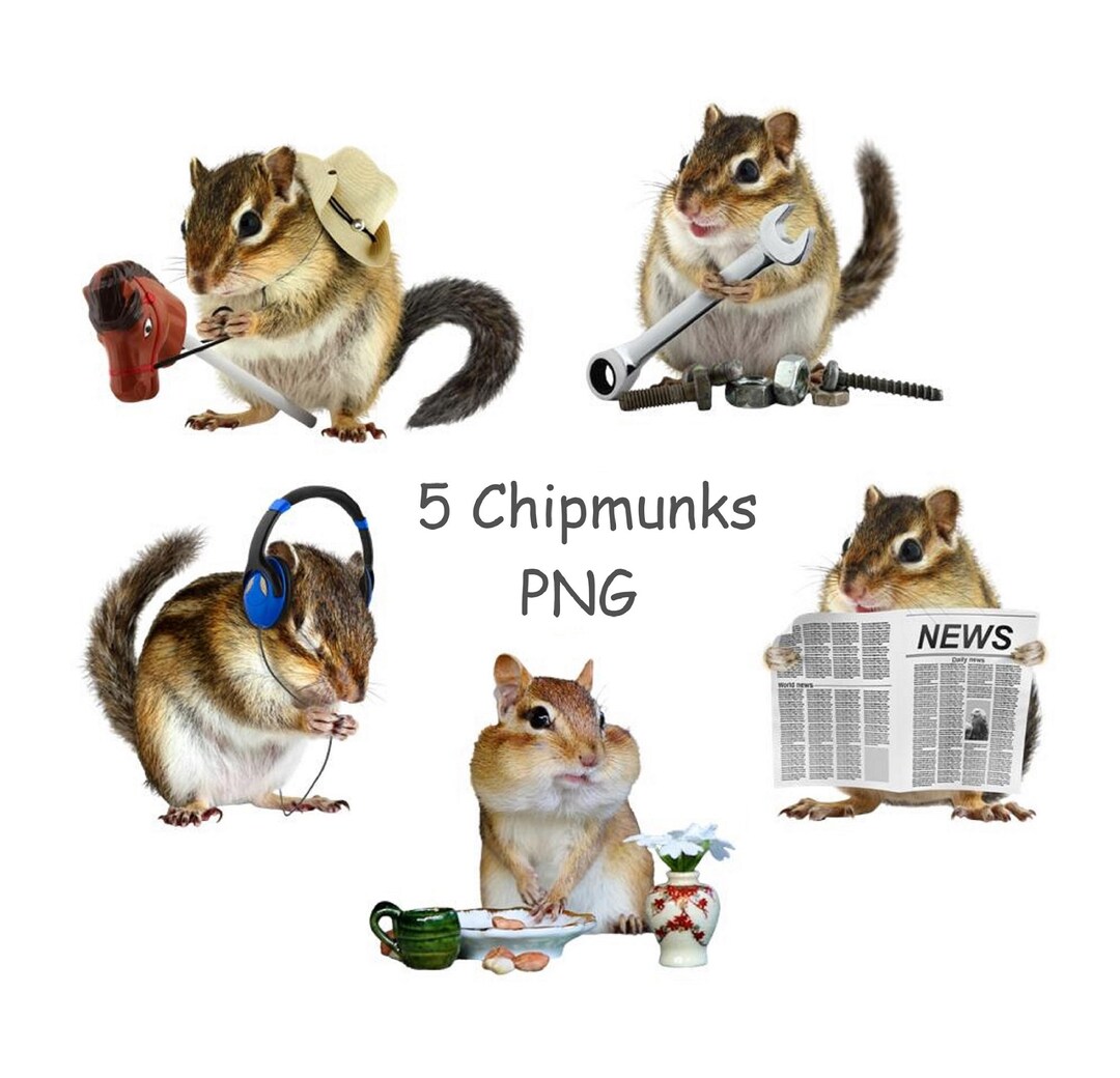 Chipmunk Clipart, Chipmunk Png, Digital Chipmunk, Cute Animal Animal With Transparent Background ...
