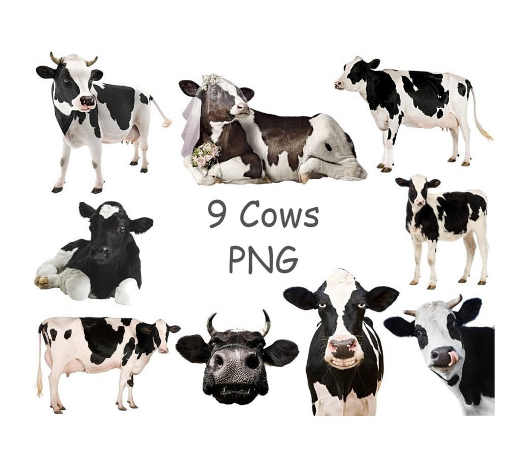 Cow Clipart, Cow Png, Farm Animals Clipart With Transparent Background ...