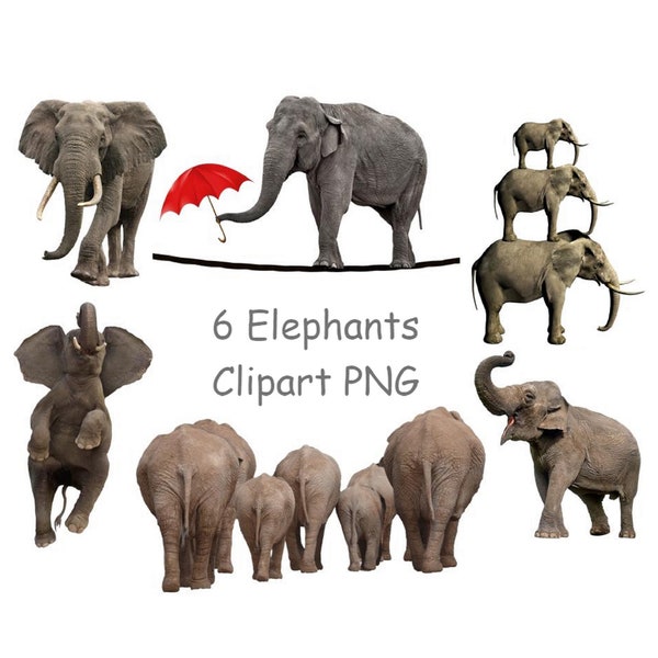 Elephant Clip Art - Etsy