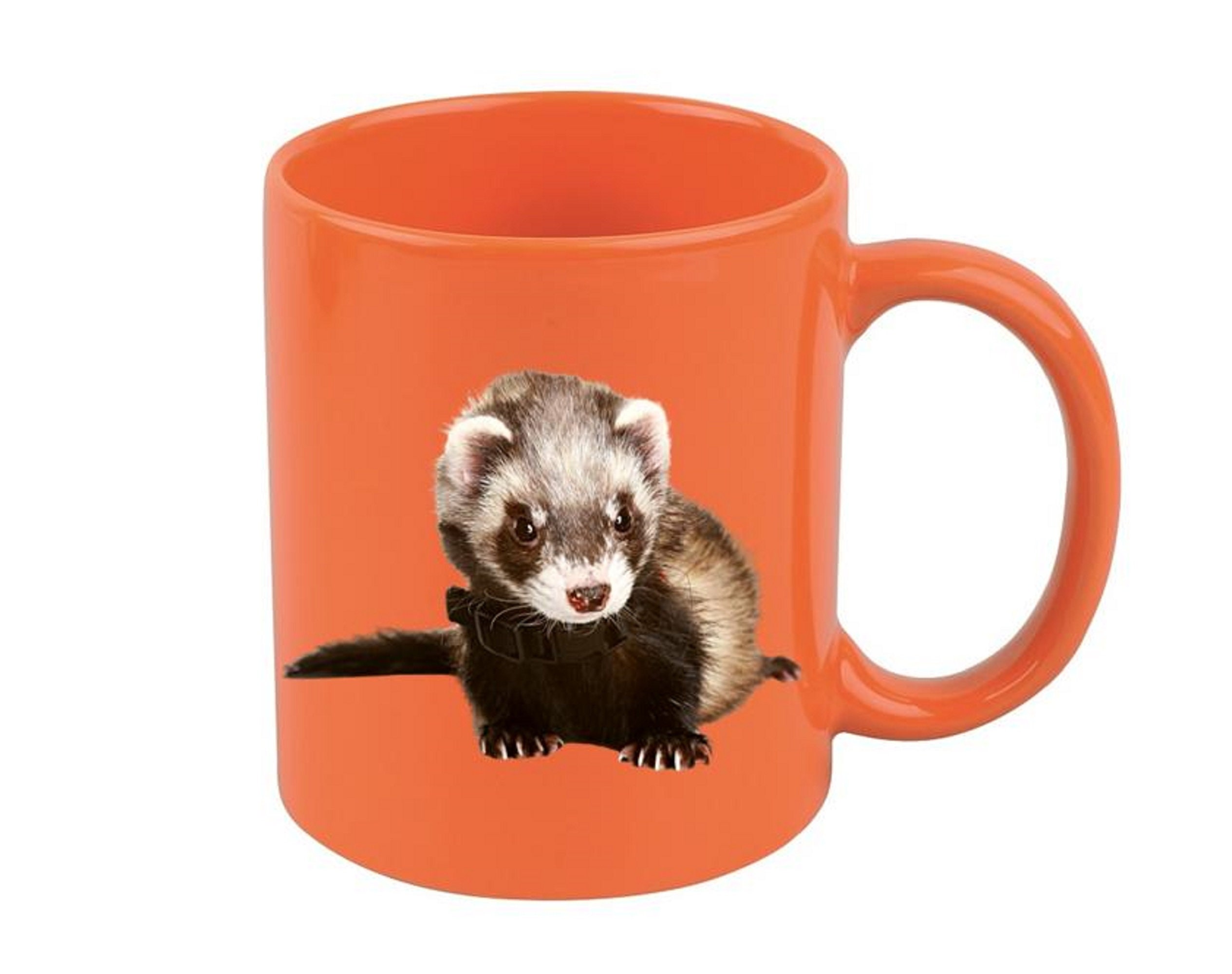 Realistic Ferret PNG Digital Ferrets With Transparent | Etsy