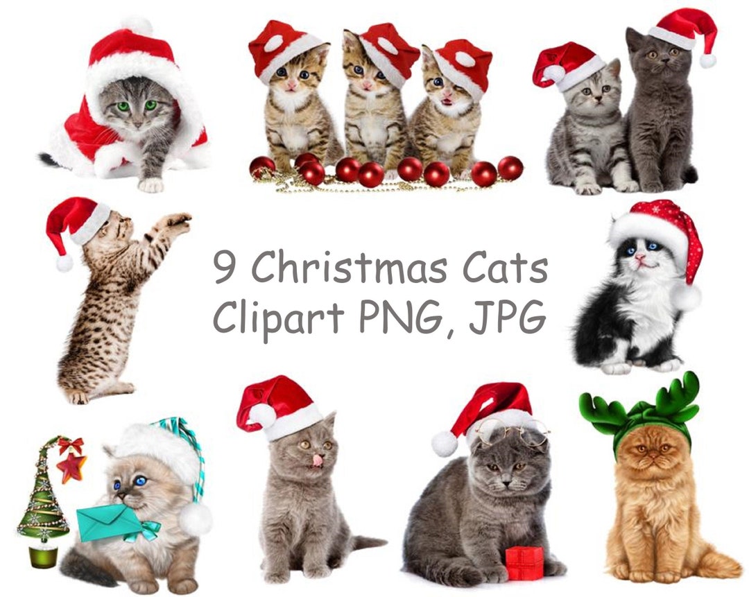 Katten clipart PNG Kerst katten PNG Leuke dierlijke clipart - Etsy ...