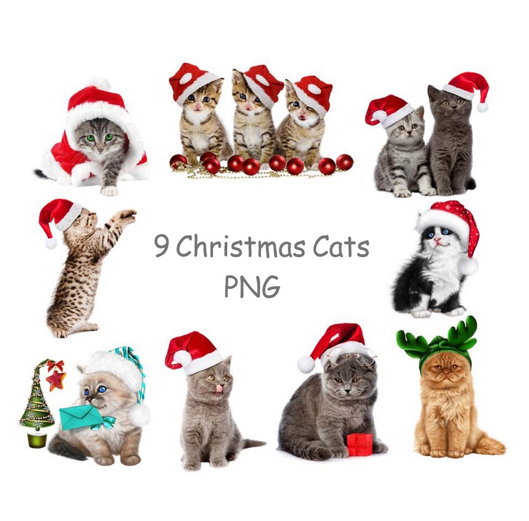 Cats Clipart PNG, Christmas Cats PNG, Cute Animal Clipart With ...