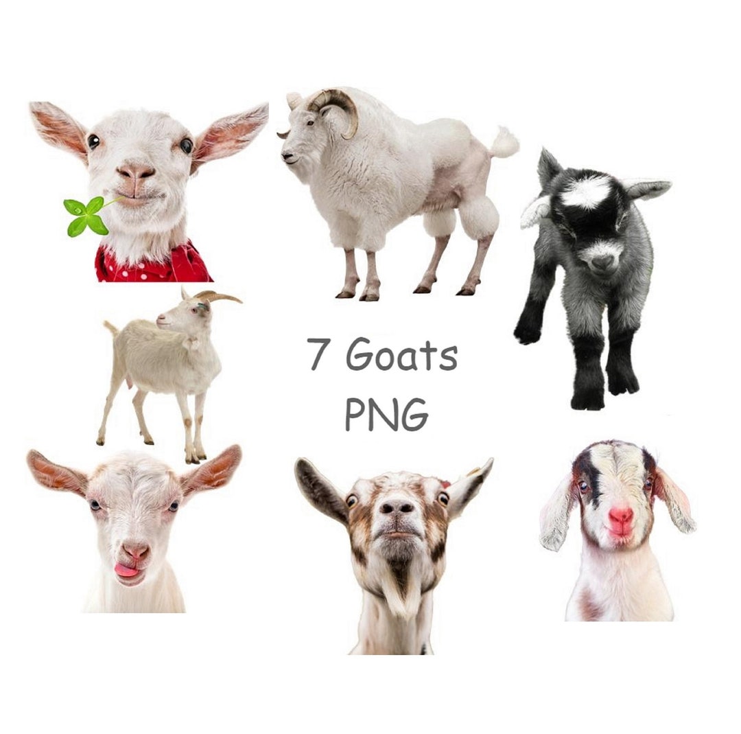Goat clipart, Farm animals PNG, Cute animals clipart with transparent ...