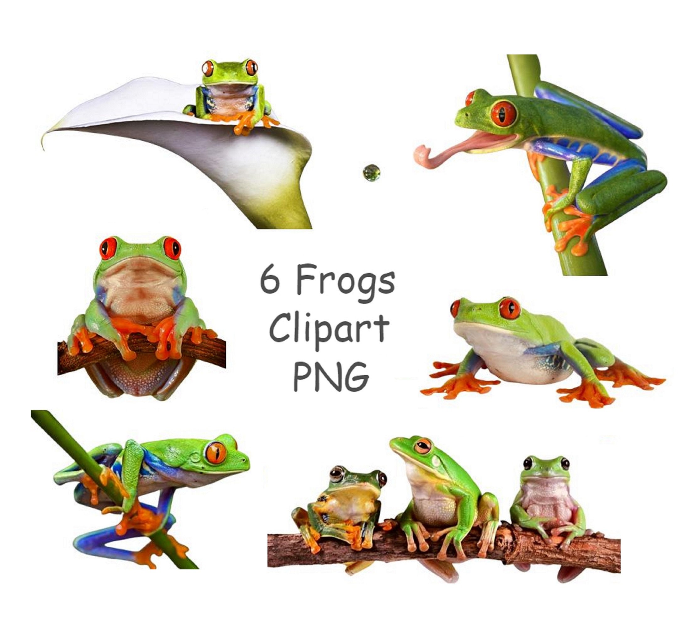 Lazy Frog Clip Art
