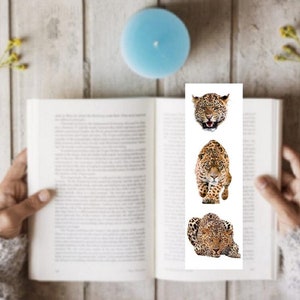 Leopard Clipart PNG Wild Animal Clipart With Transparent Background ...