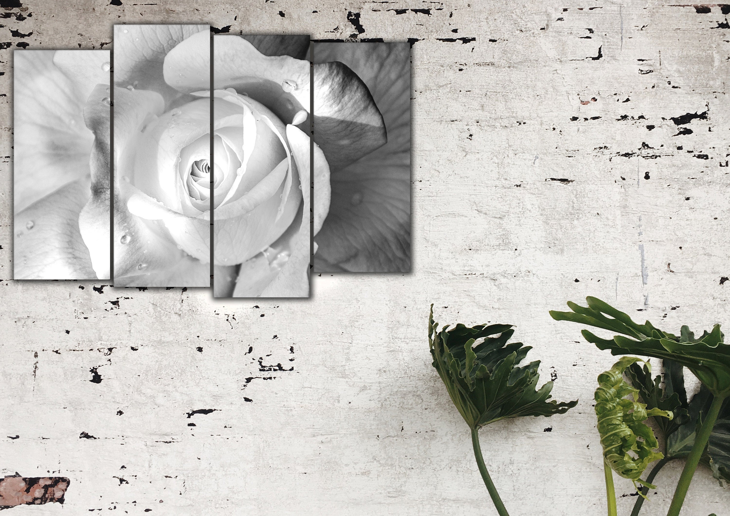 White Rose Wall Art Decor Rose Flower Petals Canvas Picture | Etsy