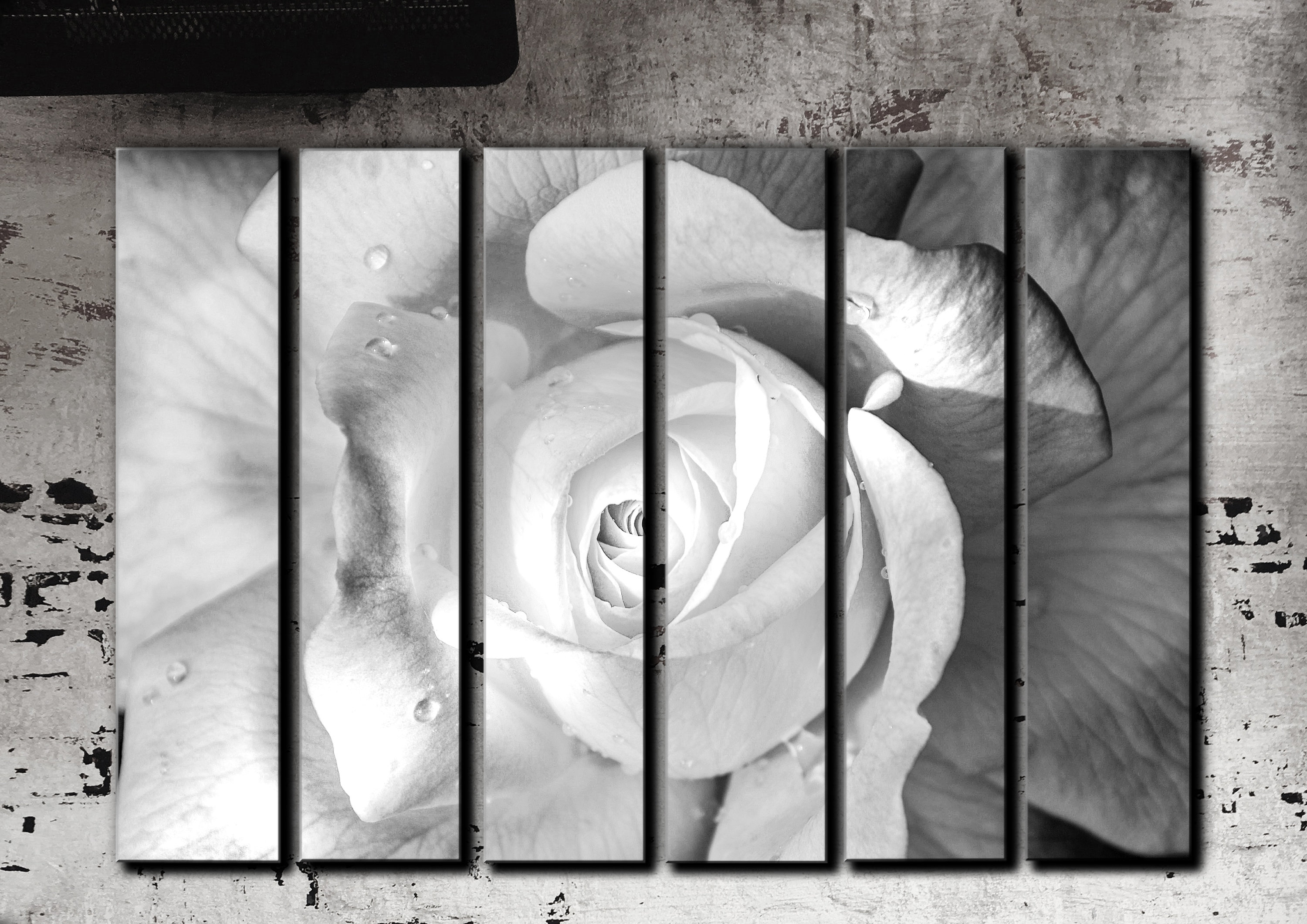 White Rose Wall Art Decor Rose Flower Petals Canvas Picture | Etsy