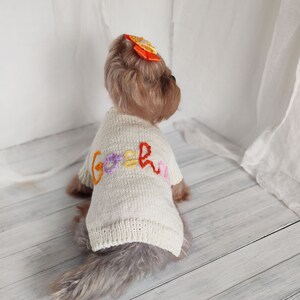 Personalized Dog Sweater With Embroidered Dog Name - Etsy