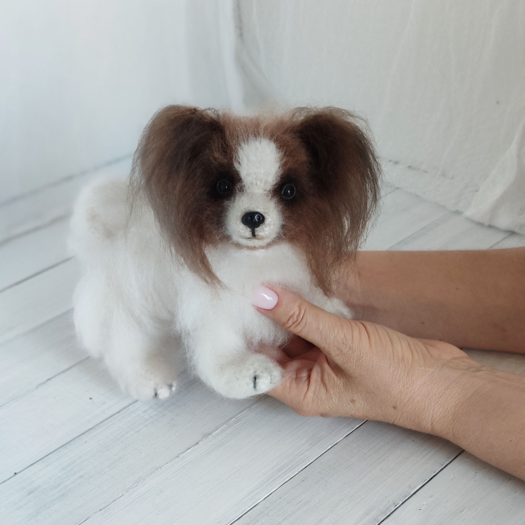 Teacup Papillon Dog