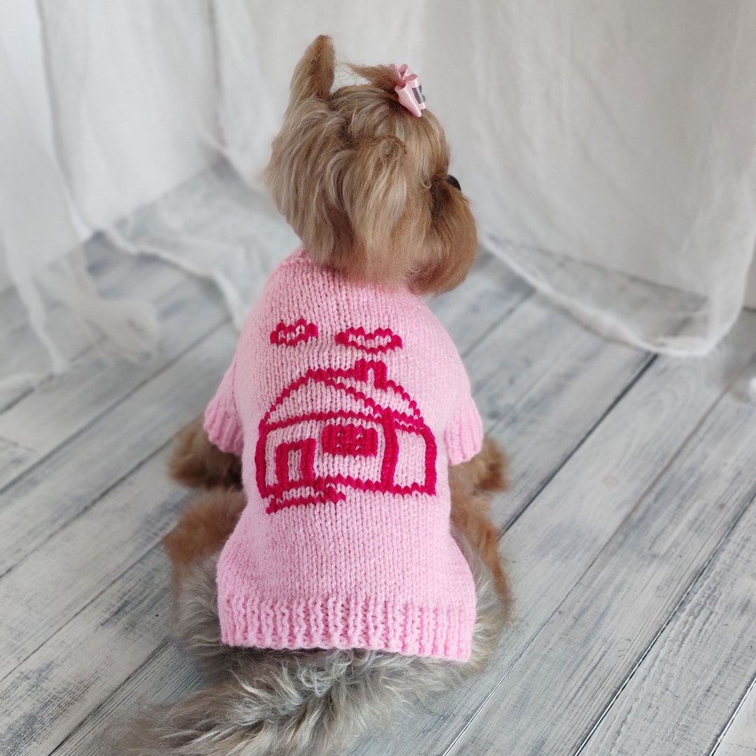 Harrys House Cat Clothes Harry Styles Gifts - Etsy