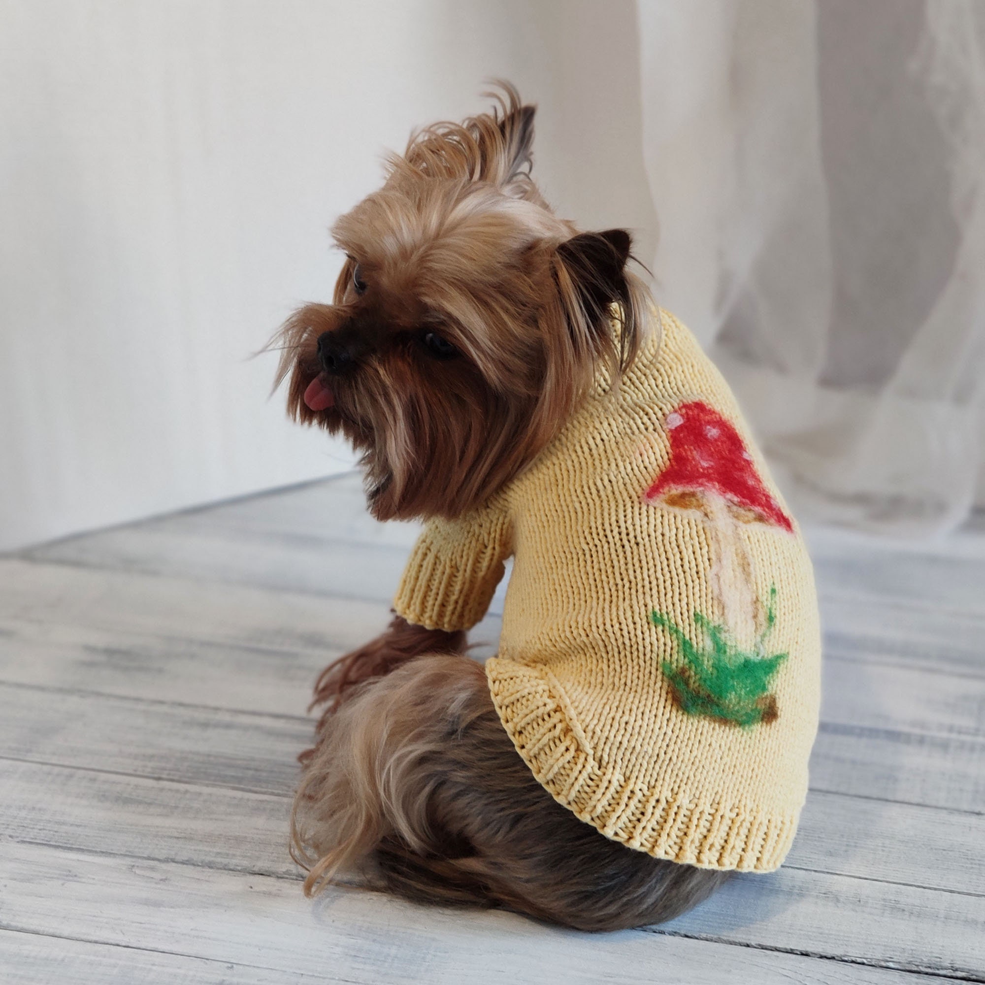 Cottagecore mushroom Knit dog sweater Yellow dog outfit Small | Etsy