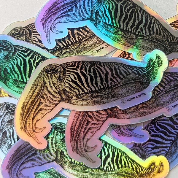Cuttlefish - Etsy
