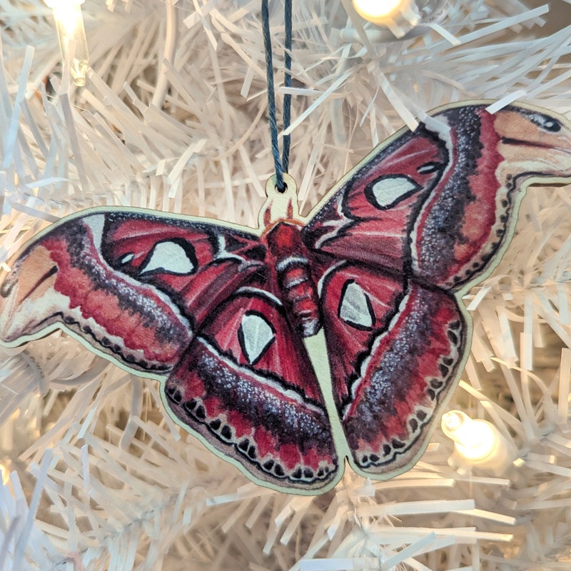 Moth Ornament - Etsy