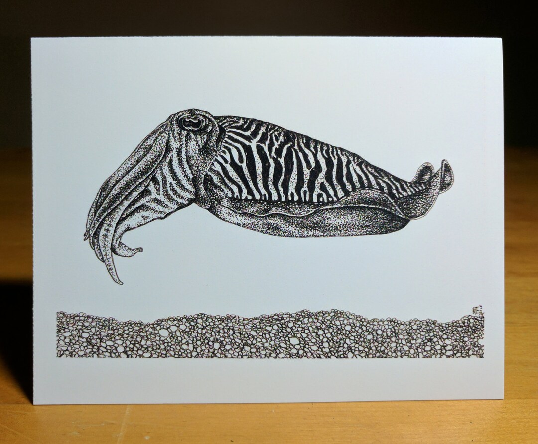 Cuttlefish Card - Etsy