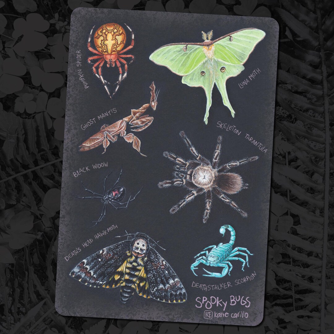 Spooky Bugs Vinyl Sticker Sheet - Etsy