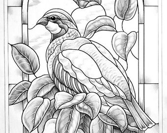 Partridge In A Pear Tree Coloring Page