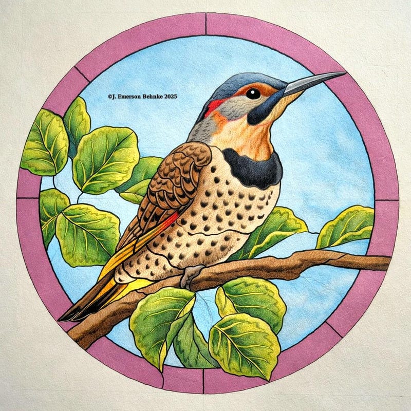 Flicker Embroidery Kit - Etsy