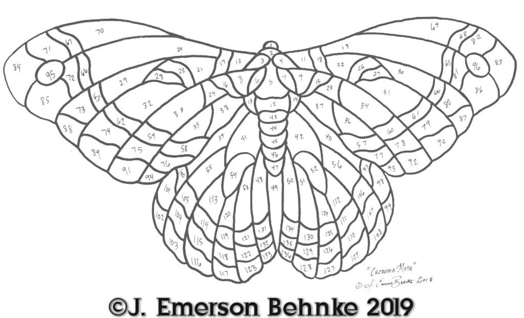 Cecropia Moth - Etsy