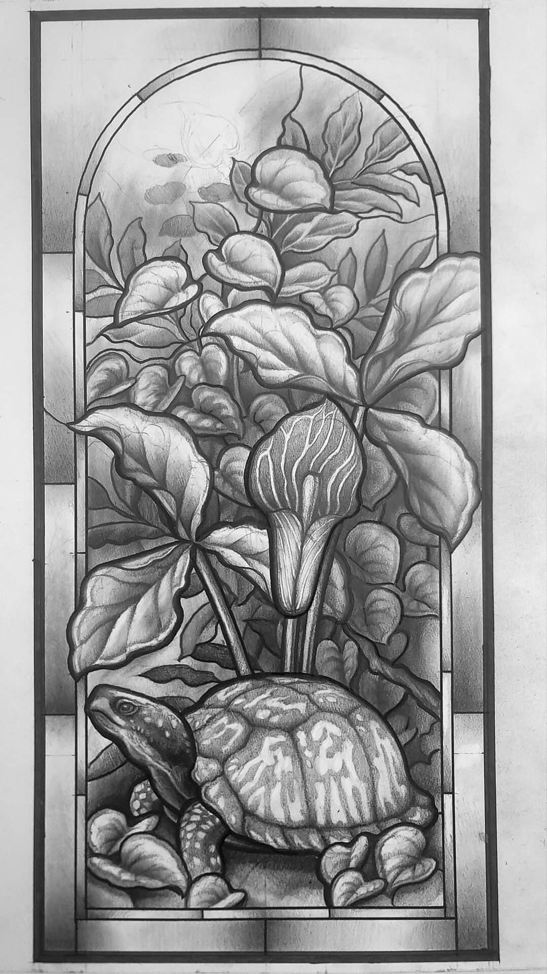 Box Turtle Design for Painted Glass - Etsy