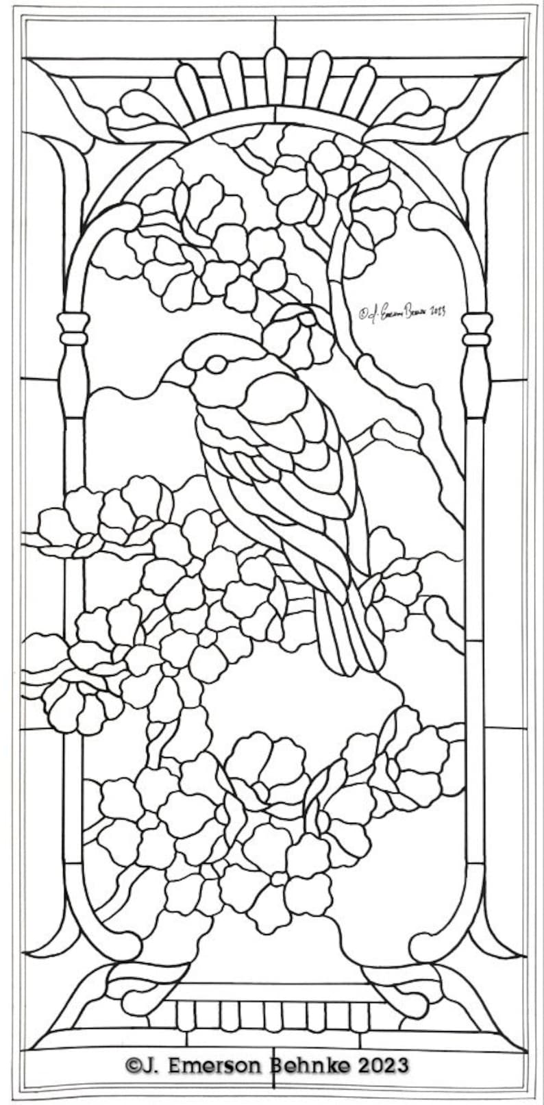 Birds: Assorted Collection (indigo Bunting, Stellers Jay, Peregrine ...