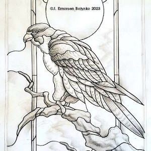 Birds: Assorted Collection (indigo Bunting, Stellers Jay, Peregrine ...