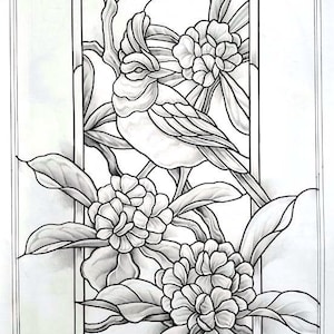 Birds: Assorted Collection (indigo Bunting, Stellers Jay, Peregrine ...