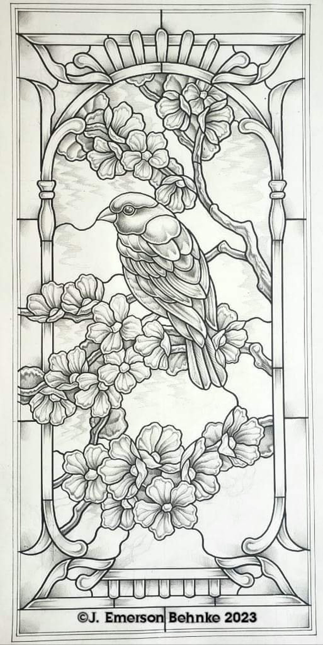 Birds: Assorted Collection (indigo Bunting, Stellers Jay, Peregrine ...