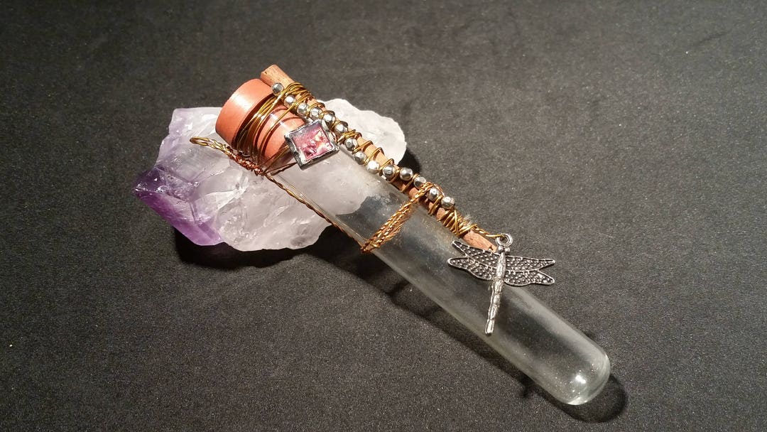 Dragonfly Vile Plant Propagation Vase - Etsy