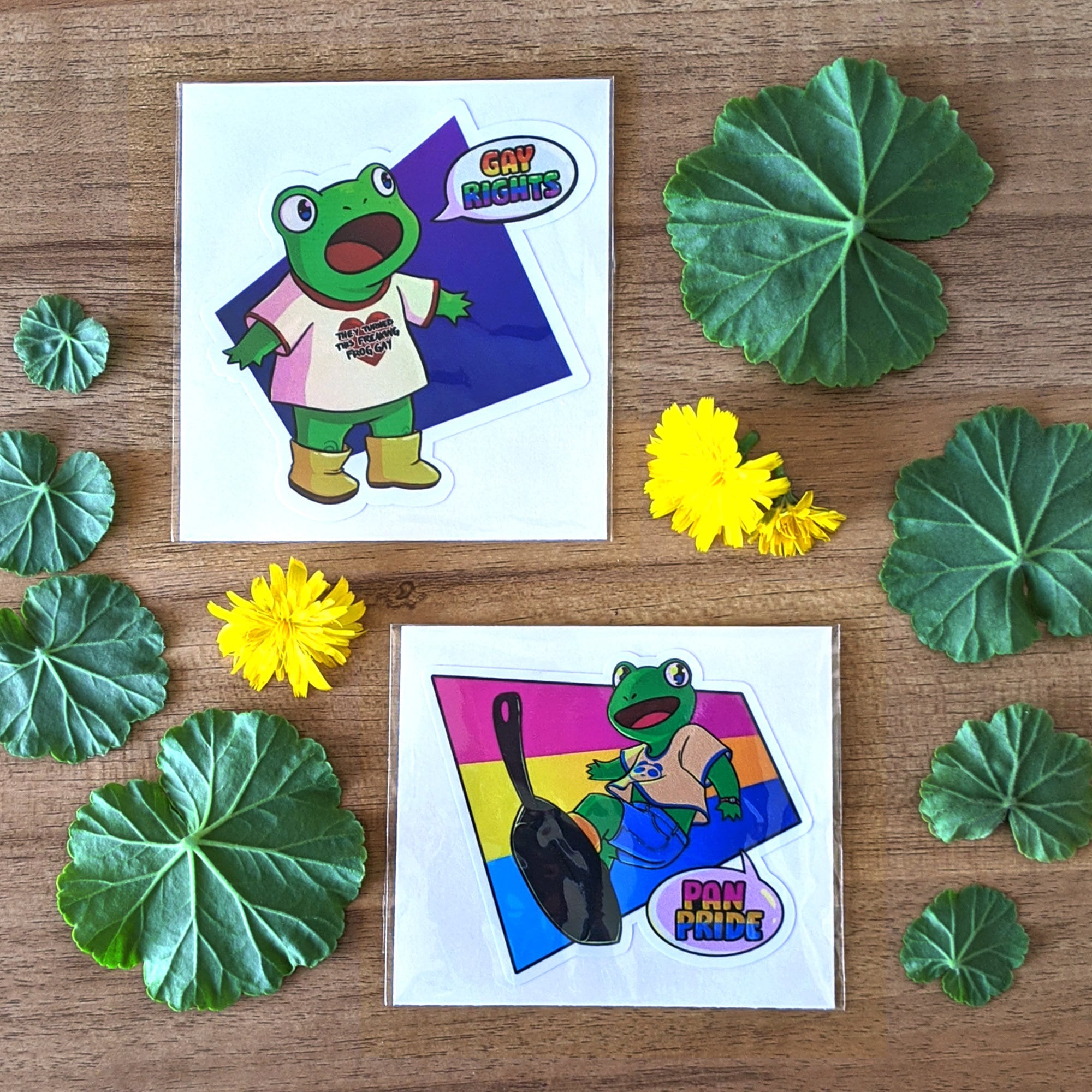 Pansexual Frog Vinyl Sticker - Etsy