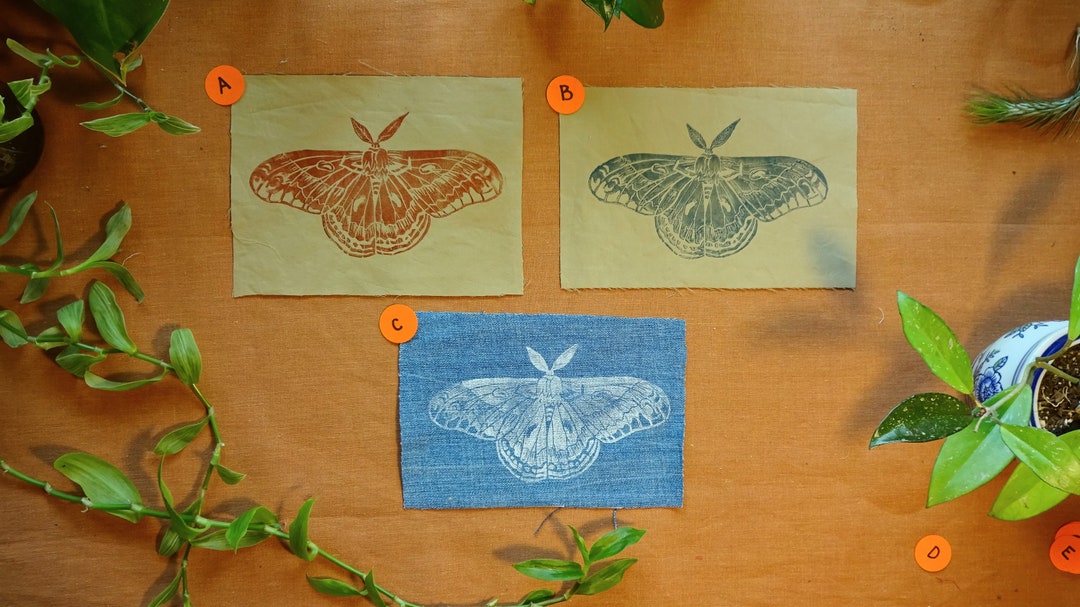 Cecropia Moth Sew-on Patch/quilt Block - Linocut Patch - Etsy