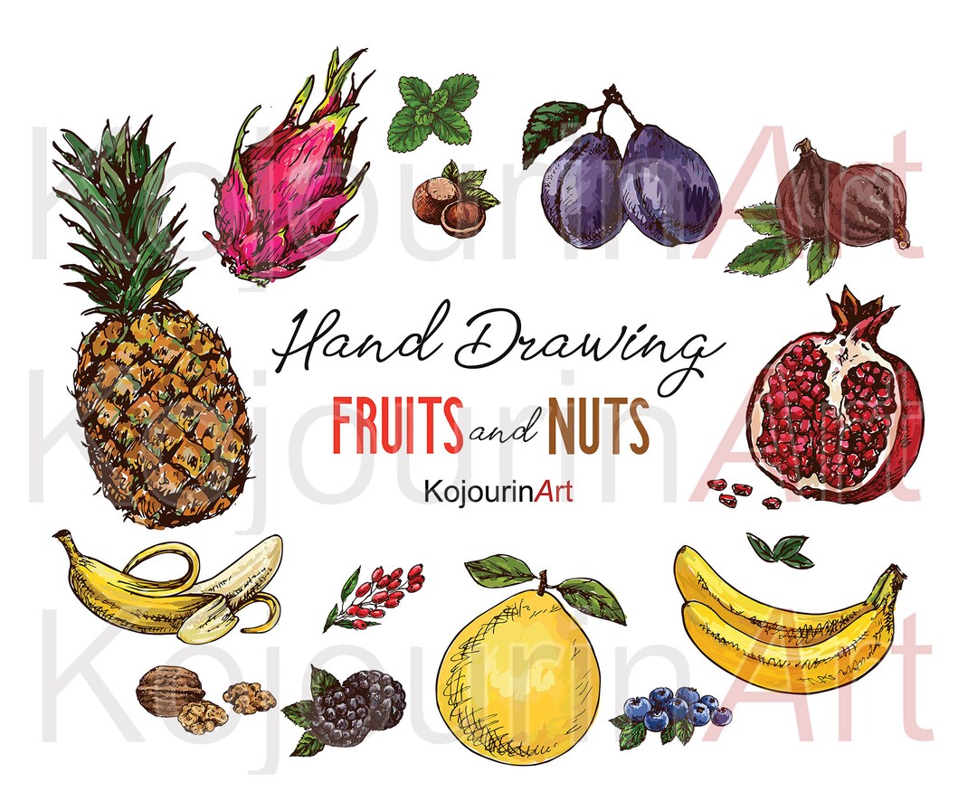 Hand Drawing Fruit Clipart, Digital Clip Art, Digital Fruit , Fruit Art ...