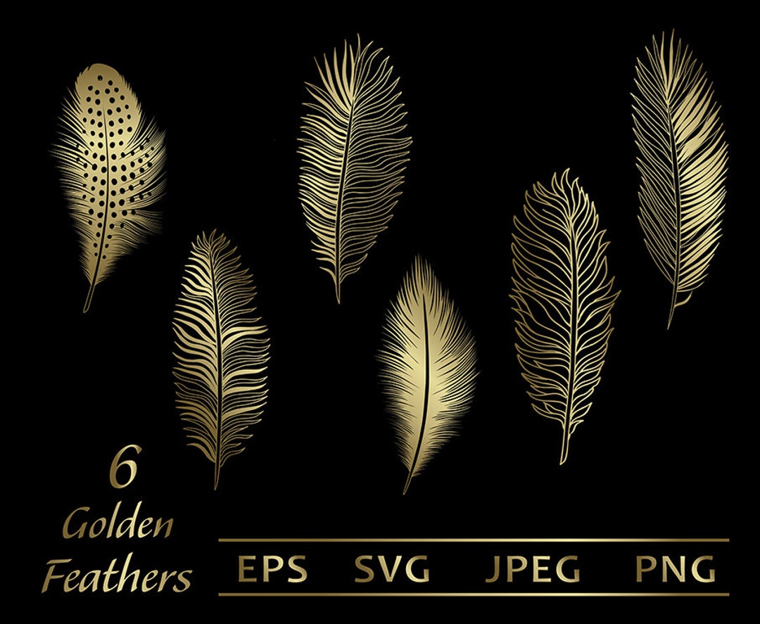 Feder-Svg, Goldfeder PNG, Feder Png, Boho-Svg, Federn Bündel SVG ...