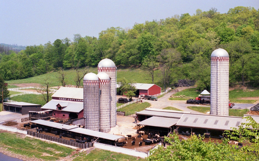 Pennsylvania Farm With Cattle and Silos 1980s Espy Farms Little Juniata ...